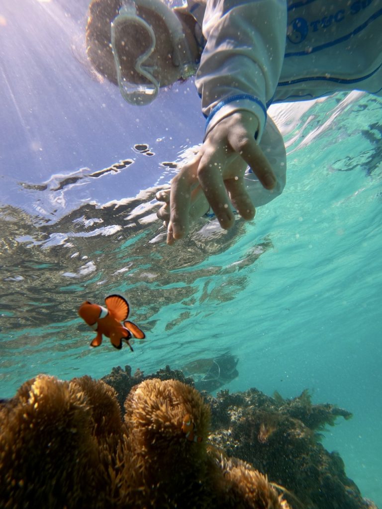 ビーチSUPシュノーケルコースのご紹介｜沖縄の離島、伊良部島のSUP ＆ シュノーケルガイド Bonito（ボニート） | 伊良部島 Bonito